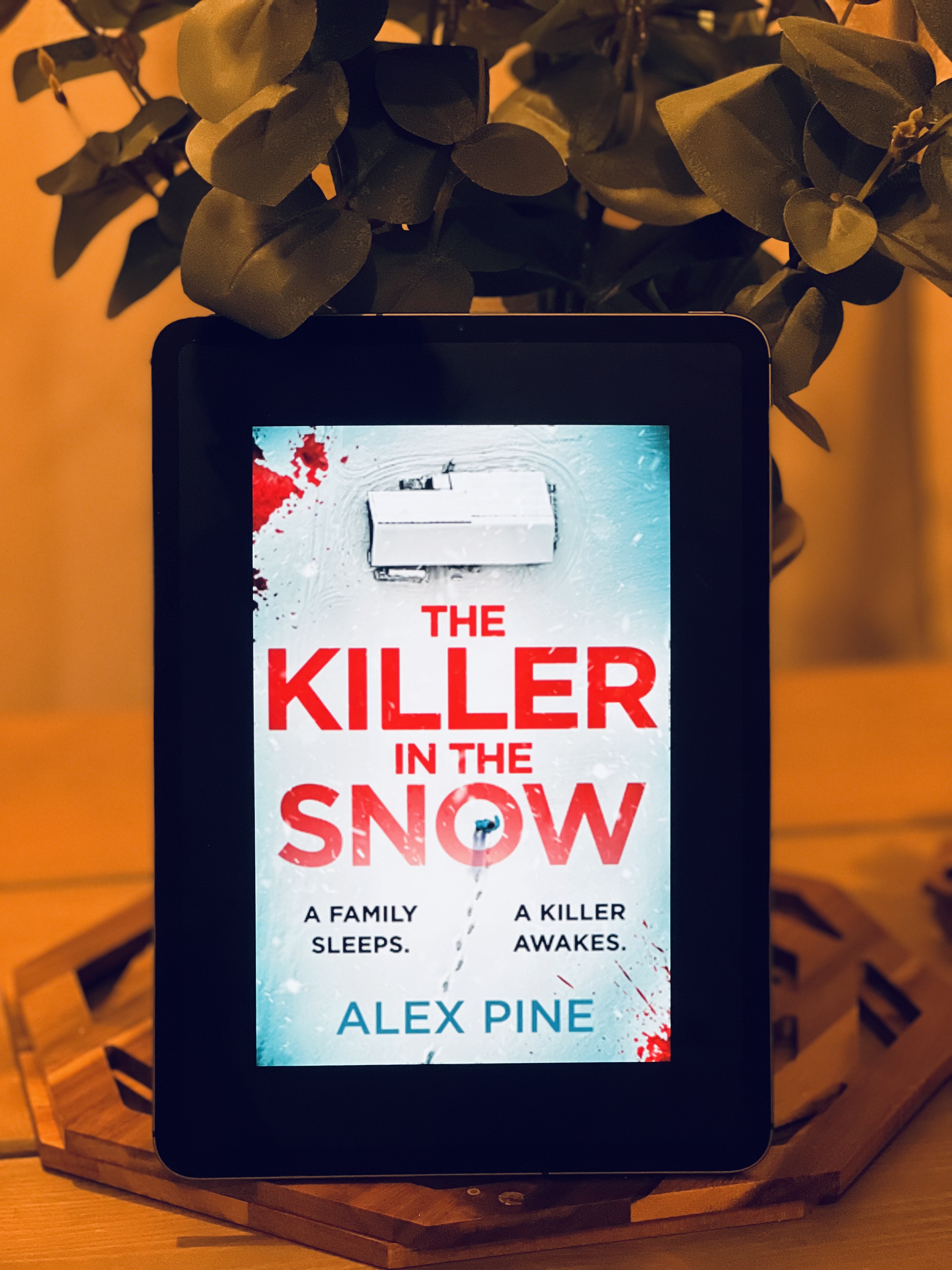 ARC Review: The Killer in the Snow by Alex Pine – Sarah in Readerland